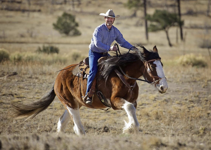 How to Measure for the Right Size Cinch with Weaver Leather — AJ Tack