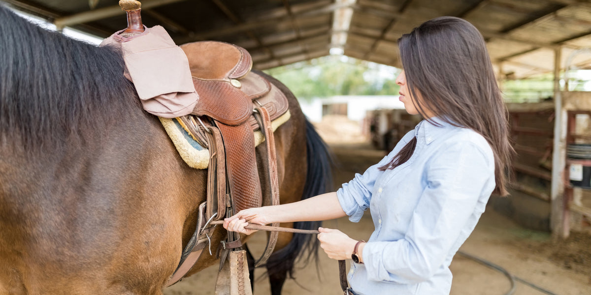 A Step-by-Step Guide to Properly Tacking Your Horse — AJ Tack