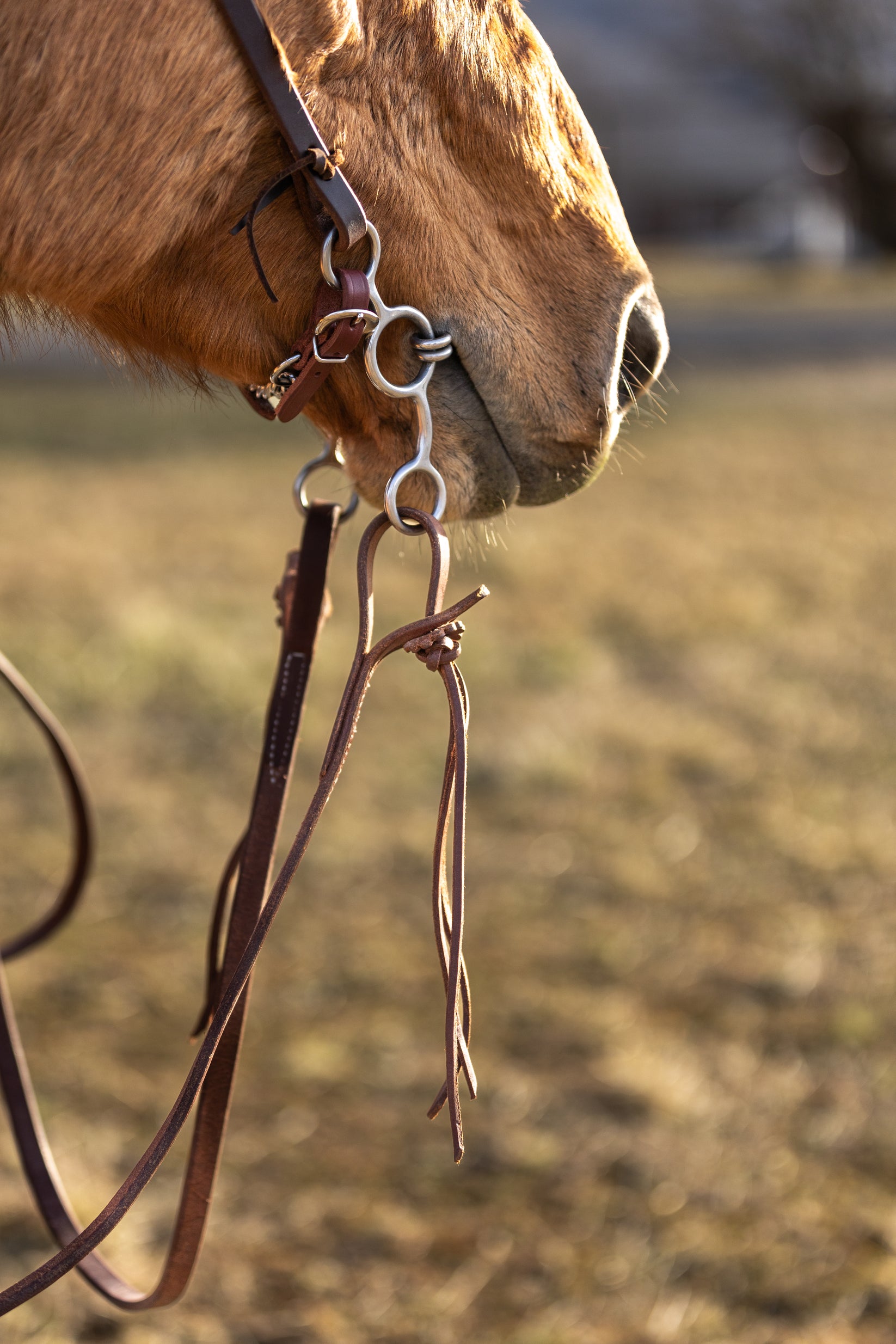 AJ Tack Bridle Set with JR Cowhorse Smooth Snaffle Gag with Split Rein