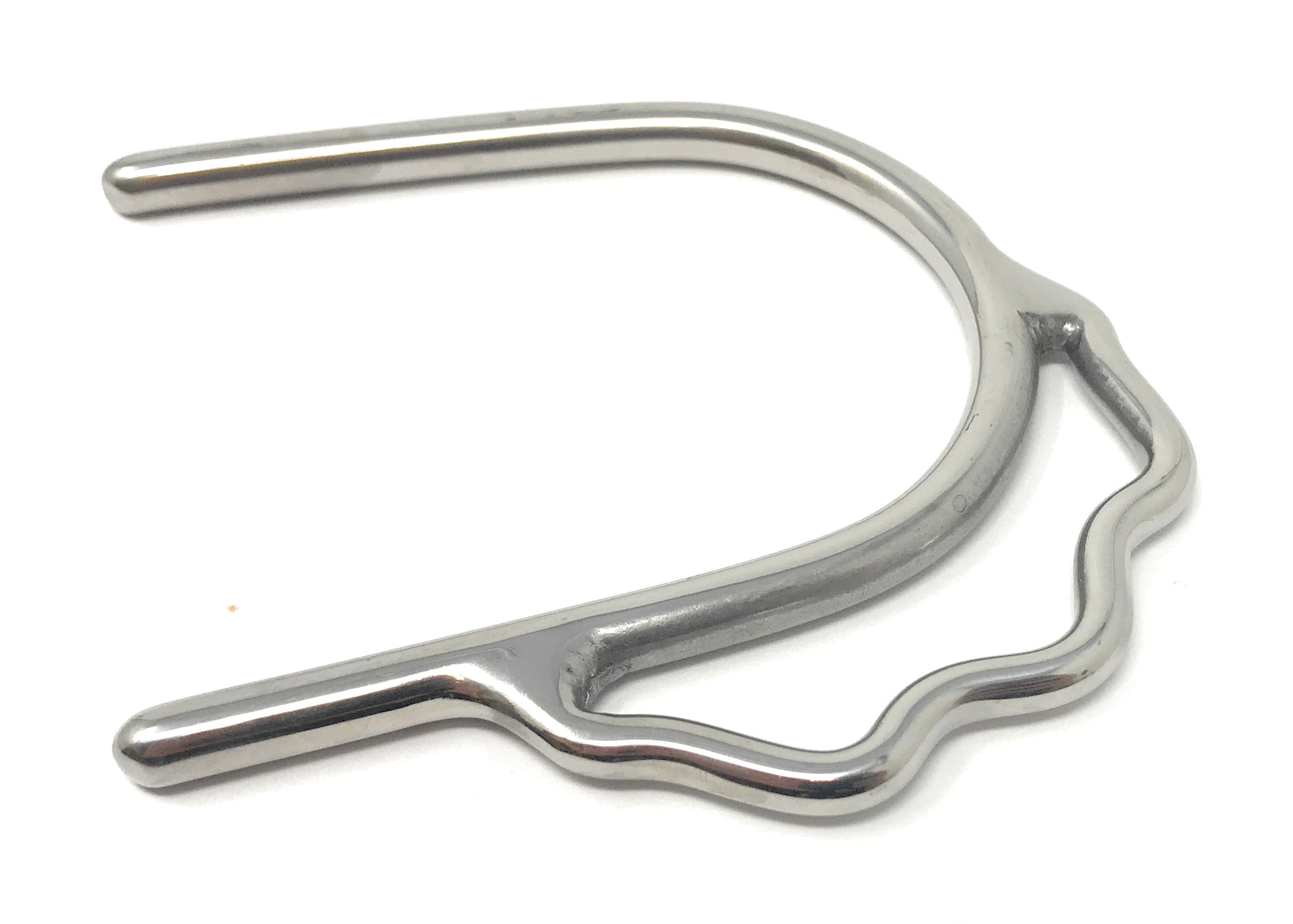 AJ Tack Stainless Steel Slip On Bumper Spurs - Ladies